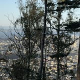 Mount Sutro Loop, California - 2,517 Reviews, Map | AllTrails