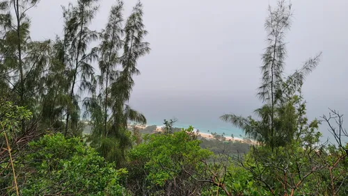 Los mejores senderos y rutas en Pupukea Paumalu Forest Reserve | AllTrails