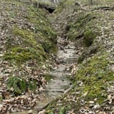 6 Ravine Challenge, Indiana - 867 Reviews, Map | AllTrails