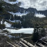 Annette Lake Trail, Washington - 5,601 Reviews, Map | AllTrails