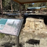 Boulder Creek, Colorado - 234 Reviews, Map | AllTrails