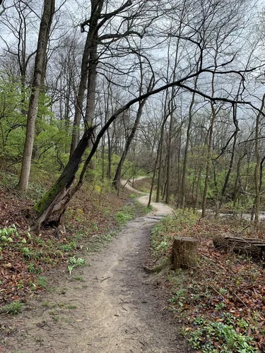 Best Kid Friendly Trails in Bill Yeck Park | AllTrails