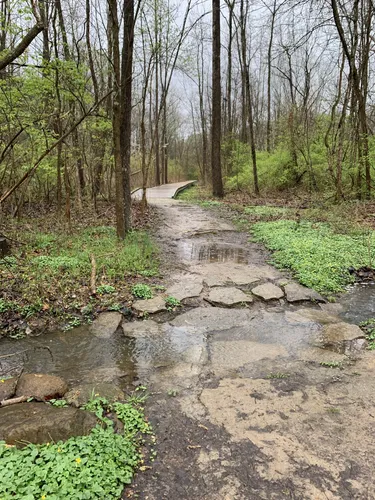 Best Kid Friendly Trails in Bill Yeck Park | AllTrails
