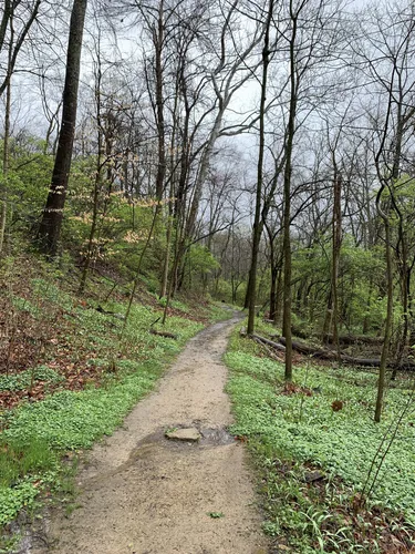 Best Kid Friendly Trails in Bill Yeck Park | AllTrails