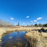 Amisk Wuche Trail, Alberta, Canada - 513 Reviews, Map | AllTrails