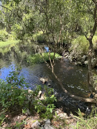 Best Hikes and Trails in Three Lakes Wildlife Management Area | AllTrails