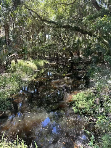 Best Hikes and Trails in Three Lakes Wildlife Management Area | AllTrails