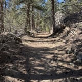 Walker Ranch Loop, Colorado - 4,510 Reviews, Map | AllTrails