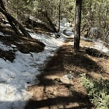Walker Ranch Loop, Colorado - 4,510 Reviews, Map | AllTrails