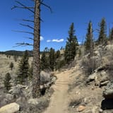 Walker Ranch Loop, Colorado - 4,510 Reviews, Map | AllTrails