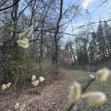 Cheese Country Recreational Trail, Wisconsin - 26 Reviews, Map | AllTrails