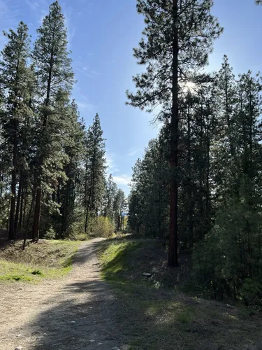 Best Kid Friendly Trails in Mission Creek Regional Park | AllTrails