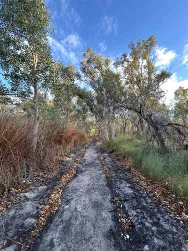 Best Hikes and Trails in Thomsons Lake Nature Reserve | AllTrails