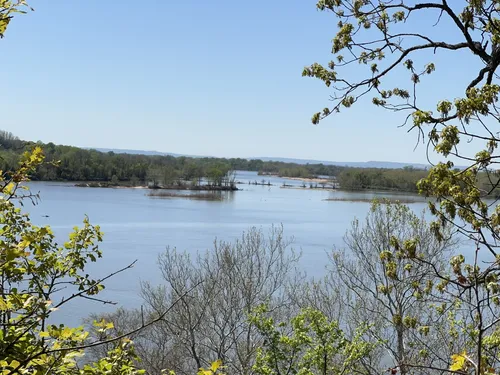 Best Views Trails In Conway Alltrails
