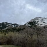 Neff's Canyon Loop, Utah - 2,464 Reviews, Map | AllTrails