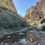 Hackberry Springs Loop, Arizona - 1,742 Reviews, Map | AllTrails
