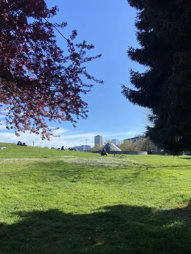 Best Hikes and Trails in Cal Anderson Park | AllTrails