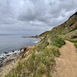 Bluff Cove to Lunada Bay Trail, California - 834 Reviews, Map | AllTrails