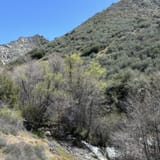 Packsaddle Cave Trail, California - 540 Reviews, Map | AllTrails