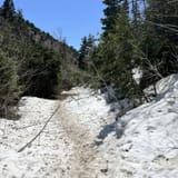 Emigration Canyon Miners Trail, Utah - 829 Reviews, Map | AllTrails