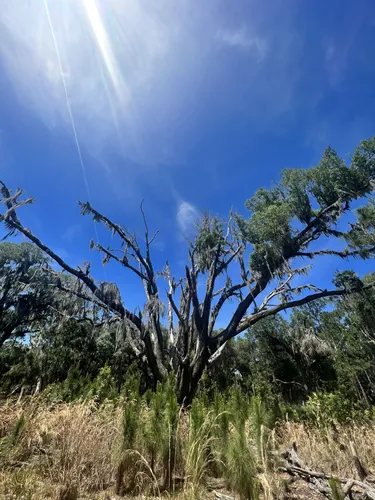 Best Trail Running Trails in Split Oak Forest Wildlife And ...