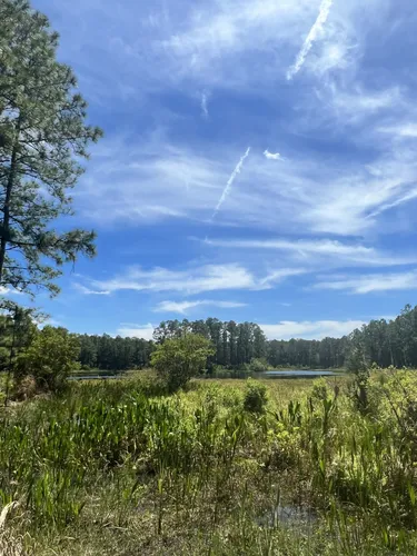 Best Trail Running Trails in Split Oak Forest Wildlife And ...