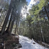 Mount Kit Carson Trail, Washington - 968 Reviews, Map | AllTrails