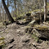 Rock Hollow Trail, Missouri - 1,334 Reviews, Map | AllTrails