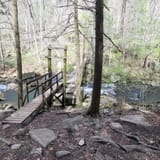 Edward's Point Trail, Tennessee - 2,555 Reviews, Map | AllTrails