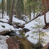 Congress Trail via Generals Highway Trailhead, California - 822 Reviews ...