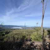 Y Road Trail to Stewart Mountain, Washington - 534 Reviews, Map | AllTrails