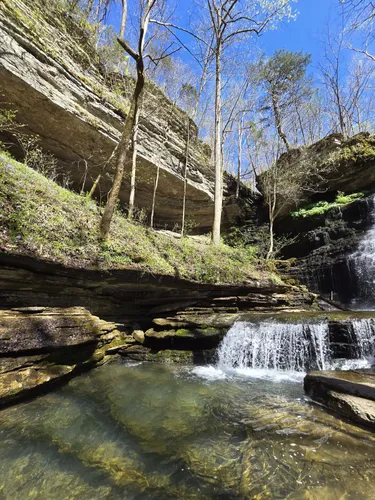 Best Hikes and Trails in Short Springs State Natural Area | AllTrails