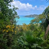 Magens Bay Beach Trail, Saint Thomas, US Virgin Islands - 349 Reviews ...