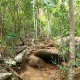 Magens Bay Beach Trail, Saint Thomas, US Virgin Islands - 349 Reviews ...