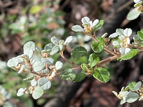 Best Hikes and Trails in Labertouche Cave Geological Reserve | AllTrails
