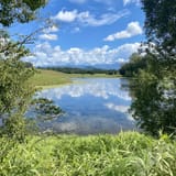 Northern Rivers Rail Trail: Tweed Section, New South Wales, Australia ...