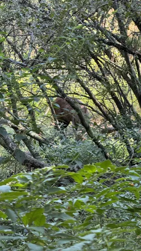 Best Hikes and Trails in Moreleta Kloof Nature Reserve | AllTrails