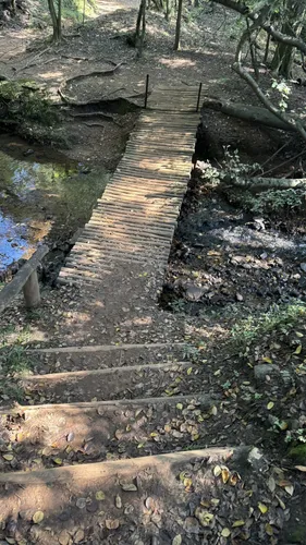 Best Hikes and Trails in Moreleta Kloof Nature Reserve | AllTrails