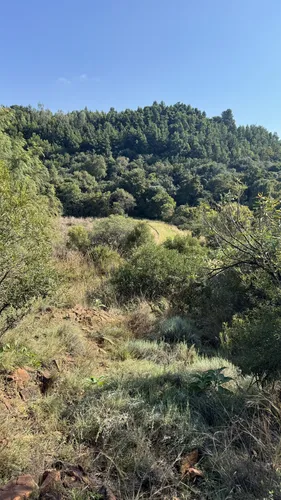 Best Hikes and Trails in Moreleta Kloof Nature Reserve | AllTrails