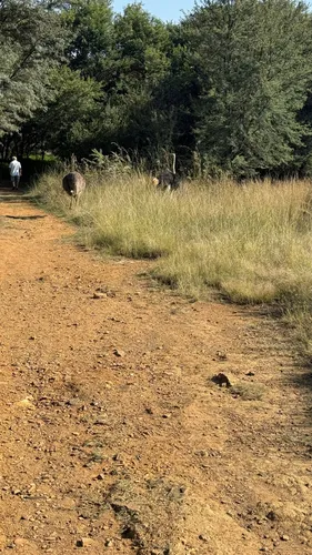 Best Hikes and Trails in Moreleta Kloof Nature Reserve | AllTrails