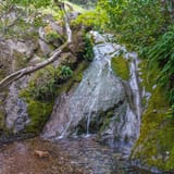Waterfall Trail, California - 550 Reviews, Map | AllTrails