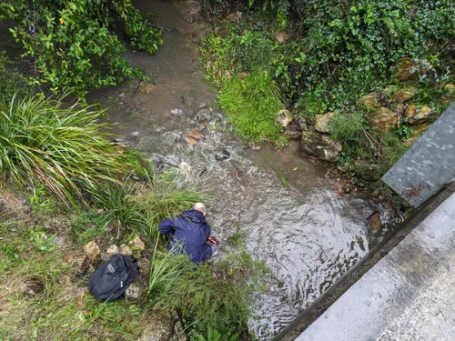 Best Hikes and Trails in Moondarra State Park | AllTrails