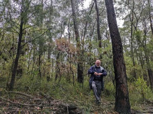 Best Hikes and Trails in Moondarra State Park | AllTrails