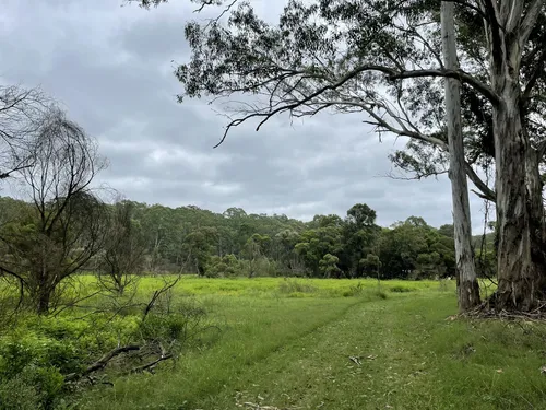 Best Hikes and Trails in Cattai National Park | AllTrails