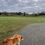 Chase Farm, Rhode Island - 275 Reviews, Map | AllTrails