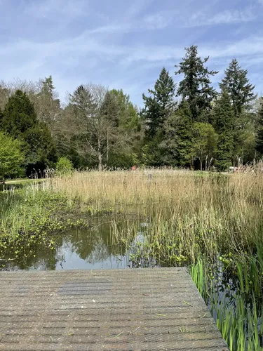 Best Trail Running Trails in Brandon Country Park | AllTrails