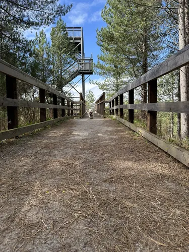 Best Hikes and Trails in Culbin Forest | AllTrails