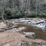 Laurel River Trail, North Carolina - 1,554 Reviews, Map | AllTrails