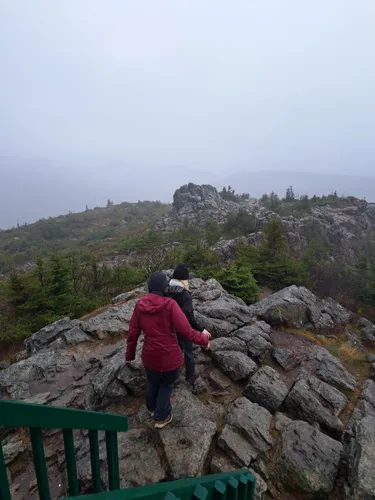 10 Best Hard Trails in Mount Carleton Provincial Park | AllTrails