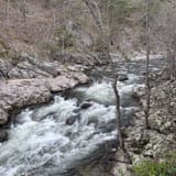 Laurel River Trail, North Carolina - 1,554 Reviews, Map | AllTrails